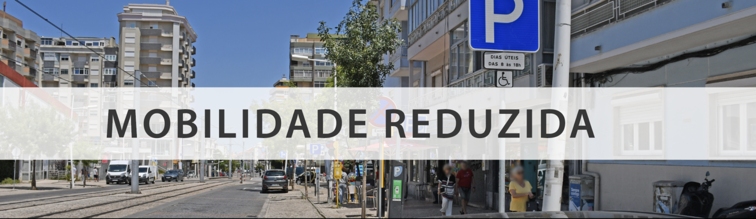 Requerimento Mobilidade Reduzida - wemob.pt